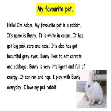 My favourite pet.pptx