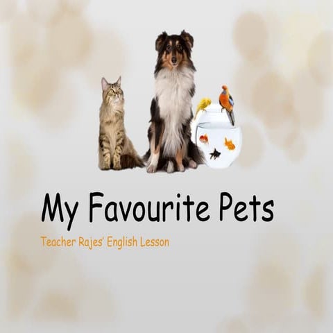 My favourite pets | PPTX