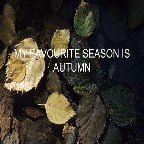My favourite season is autumn | PPTX