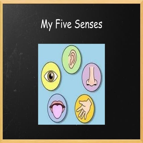 My Five Senses | PPT