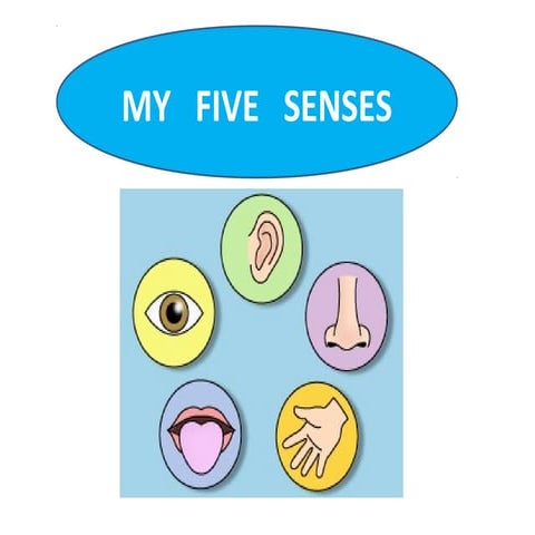 My five senses | PPT