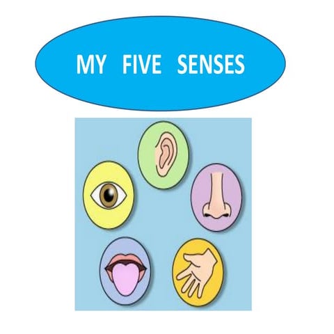 My five senses | PDF