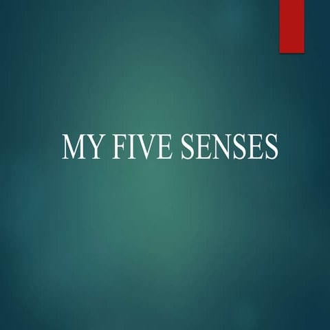 My five senses | PPT