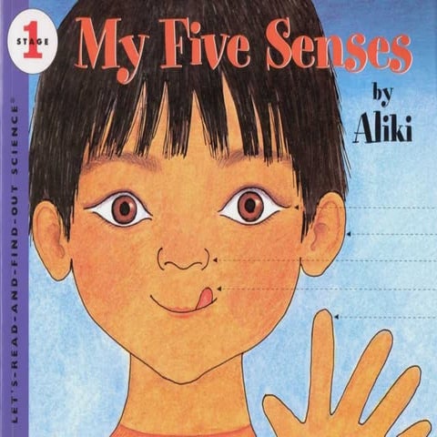 My five senses (pp tminimizer) | PPT