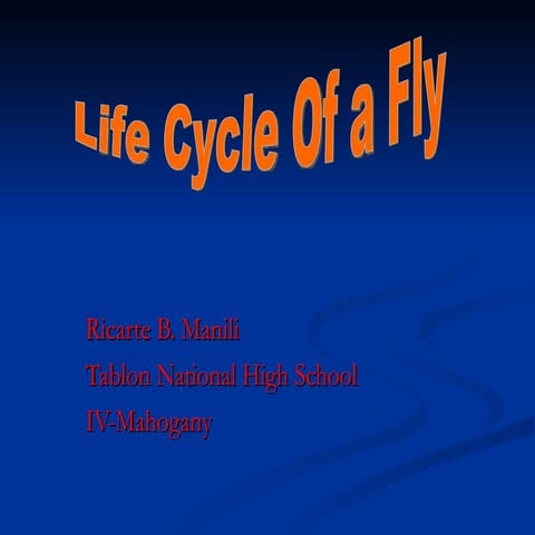 The Life Cycle of a Fly | PPT