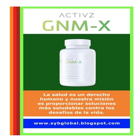 FOLLETO DE GNM-X | PDF