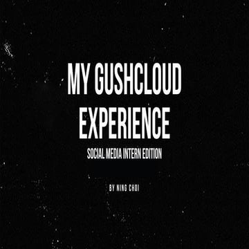 My Gushcloud Experience.pdf
