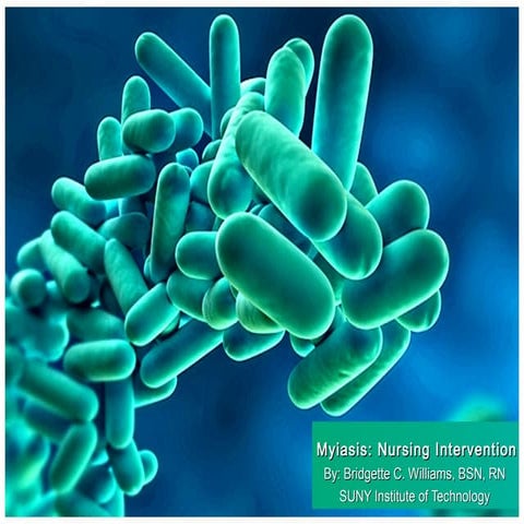 Myiasis: Nursing Intervention | PPS