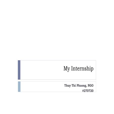 My internship_NGO | PDF