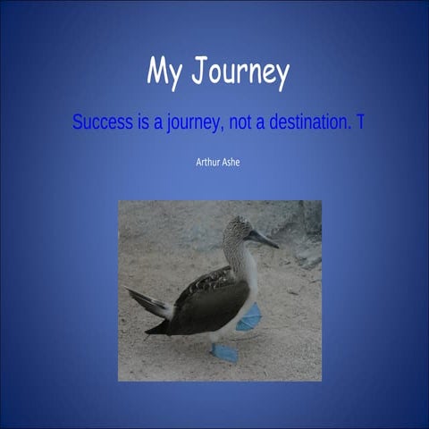 My Journey | PPT