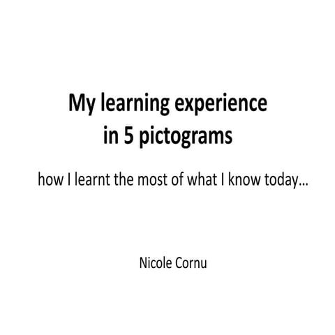 My learning experience | PPTX