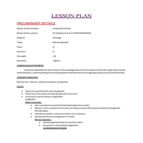 My lesson plan lesson plan | DOCX