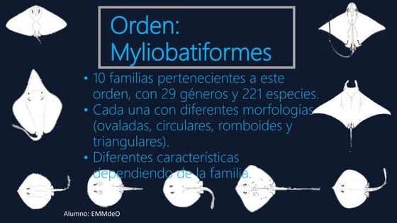 Peces: Orden Lampriformes (Peces Luna, Ophas) | PPTX | Fish and ...