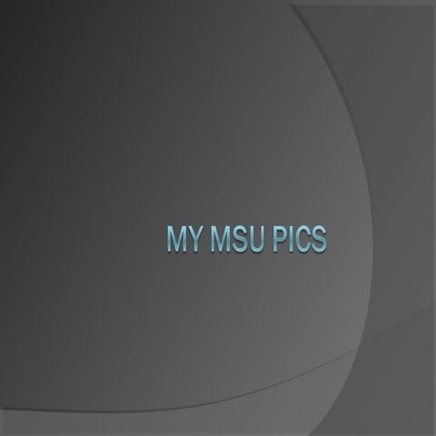 My msu pics | PPT