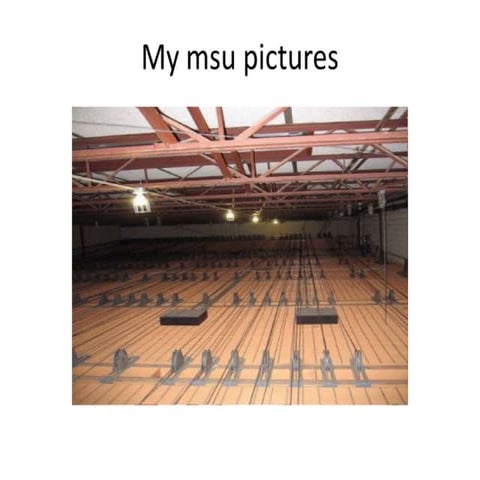 My msu picturesslideshow | PPT