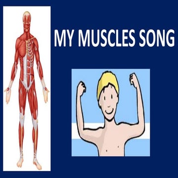 My muscles and organs powepoint | PPTX