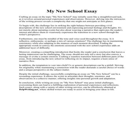 My New School Essay | PDF