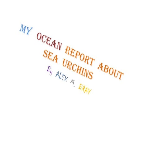 My ocean report sea urchins 2 | PPTX