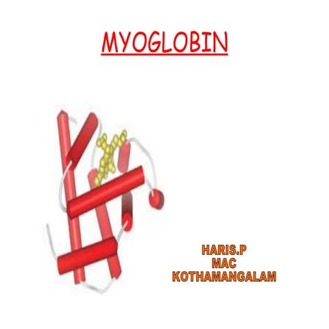 Myoglobin1 | PPT