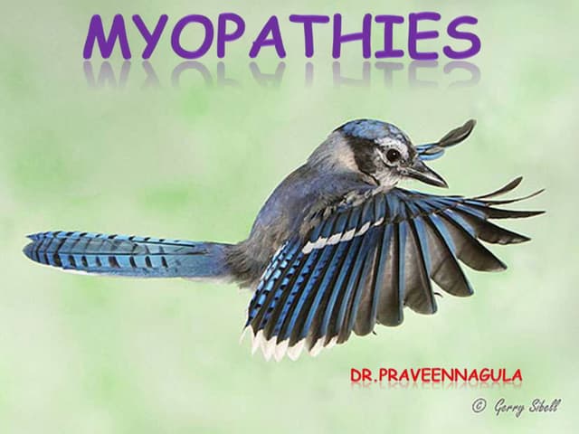 Proximal myopathy and causes | PPT