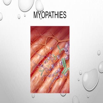 Myopathies. | PPT