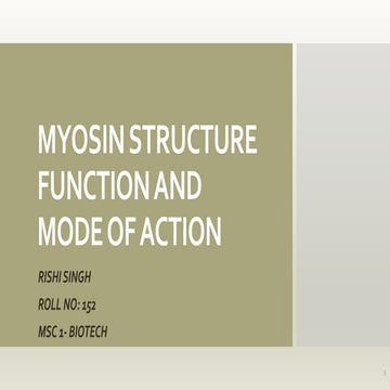 MYOSIN STRUCTURE, FUNCTION AND MODE OF ACTION IN HUMANS | PPTX