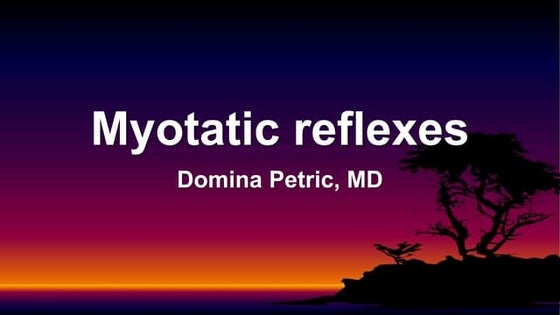 stretch reflex part use, examples, types | PPT