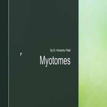 Myotomes | PPTX