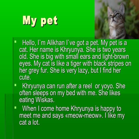 My pet | PPT