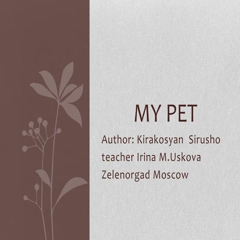 My pet | PPTX | Dogs | Pets