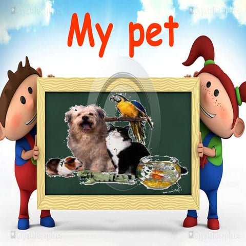 My pets | PPT