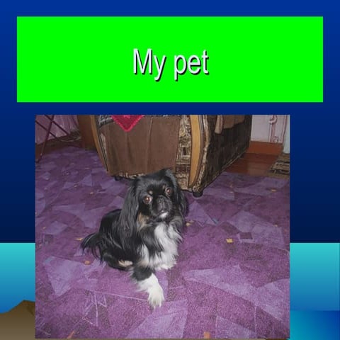 My pet | PPT