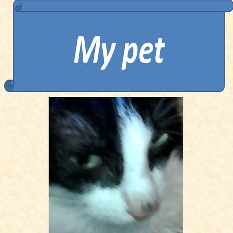 My pet | PPT