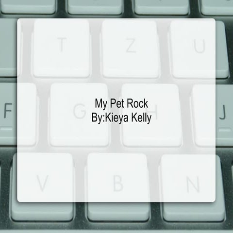 My pet rock | PPT