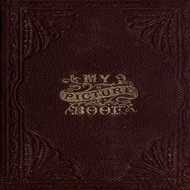 My Picture Book | PDF