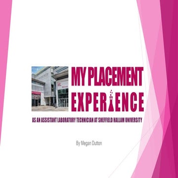 My Placement Experience Power Point Slides | PPTX
