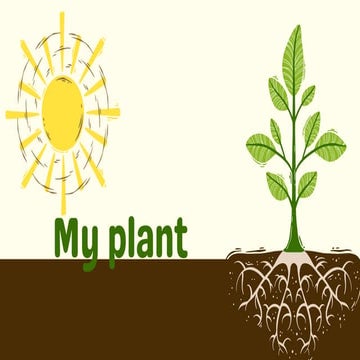 Diary of a seed | PPTX