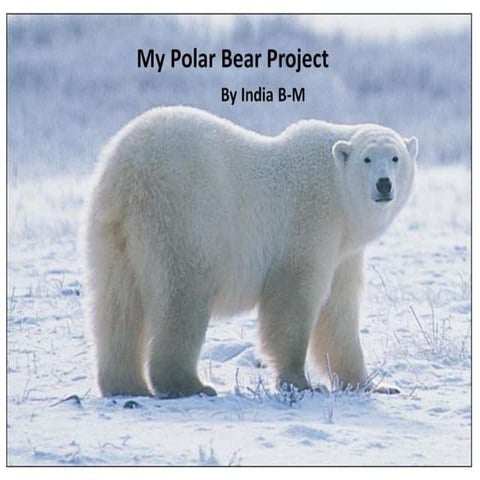 My polar bear project by india | PPT