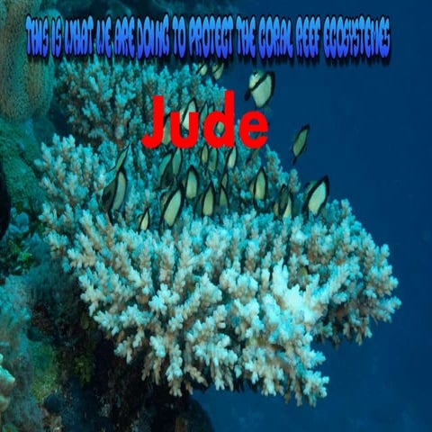 Water environment grade 1 | PPT