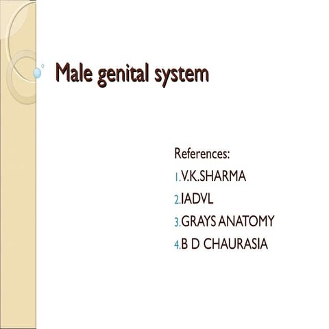 Anatomy of the scrotum | PPTX