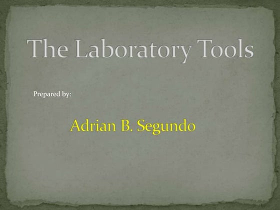 Section 2 laboratory equipment and functions | DOCX | Chemistry | Science