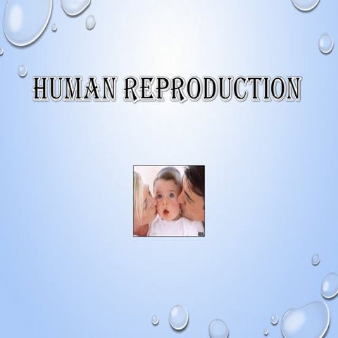 human reproduction systems elementary school | PPTX