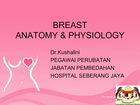 Breast Anatomy | PPTX