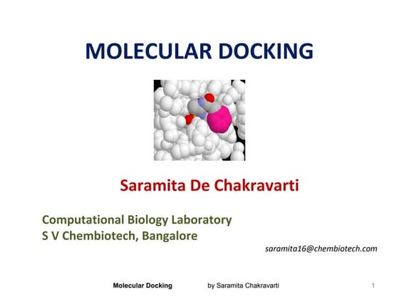 Autodock Made Easy With Mgl Tools Molecular Docking Pdf