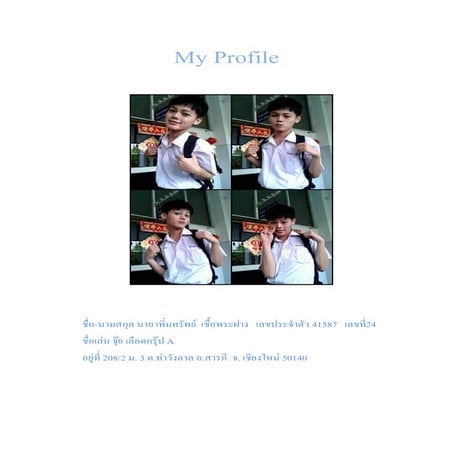 My profile | PDF