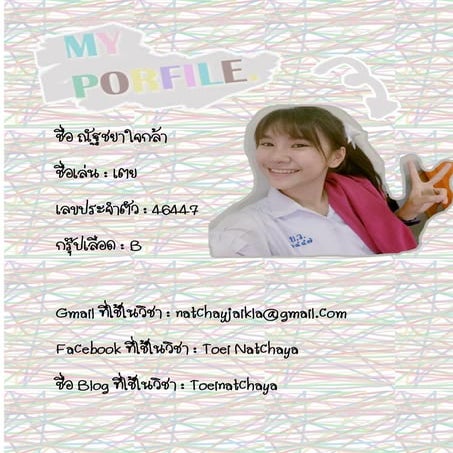 My profile | PDF