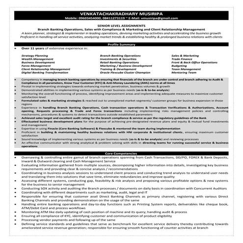 revised curriculum Vitae 04.02.2015
