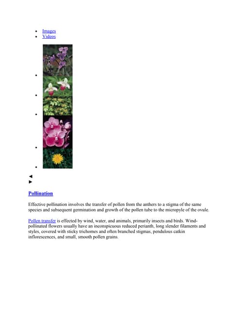 Pollination | PPT