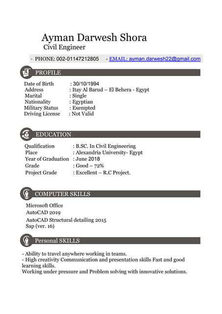 Ahmed Sayed CV | DOC