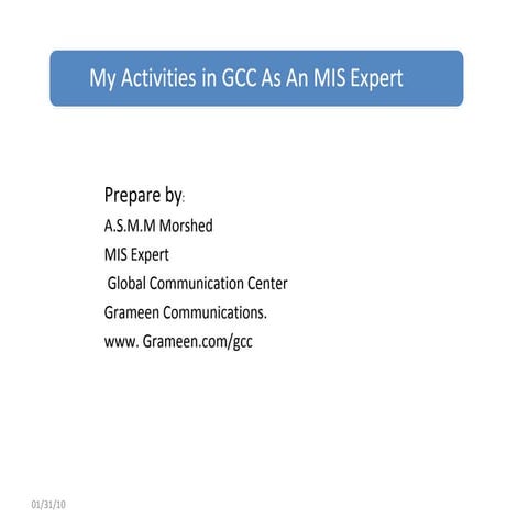 My Role As MIS Expert | PPT